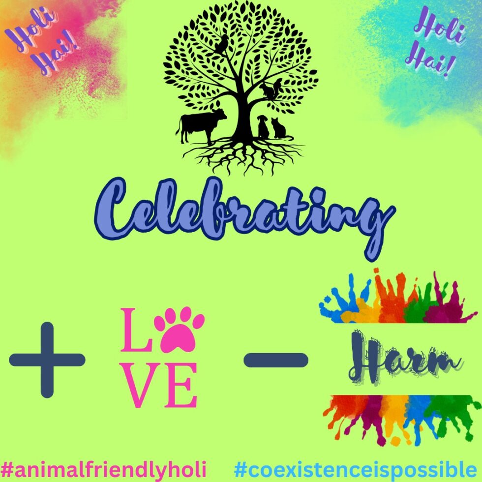 Tips to Celebrate an Animal-Friendly Holi - Stray Buddy